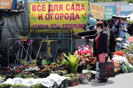 Women Look Plantlets Polius Market After Editorial Stock Photo - Stock ...