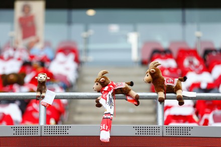 Cuddly Toys Fc Cologne Mascot Seen Editorial Stock Photo - Stock Image ...