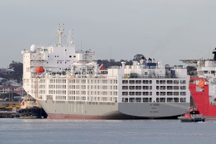 Kuwaitflagged Live Export Ship Al Kuwait Editorial Stock Photo - Stock ...