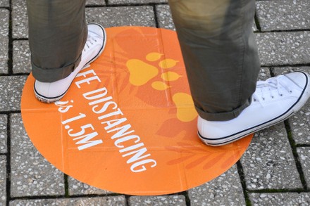 Person Stands On Sign On Ground Editorial Stock Photo - Stock Image ...