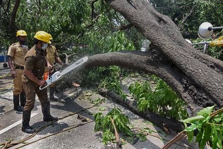 __COUNT__ Firemen remove uprooted trees after Amphan, Kolkata, West ...