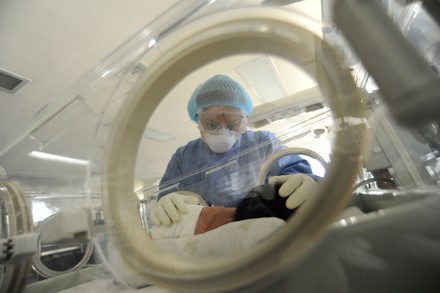Nurse Wears Personal Protective Equipment Ppe Editorial Stock Photo ...
