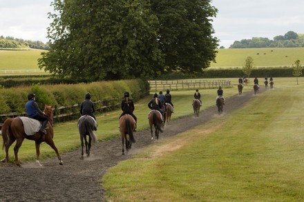 __COUNT__ Britain Kingsclere Covid 19 Horse Racing Training - 05 Jun ...