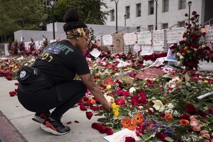 Protester Displays Rose Thousands Roses Laid Editorial Stock Photo ...
