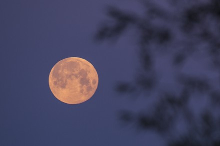 Junes Full Moon Known Strawberry Moon Editorial Stock Photo - Stock ...