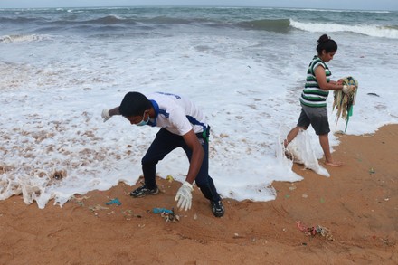 Volunteers Participate Beach Cleanup On Mount Editorial Stock Photo ...