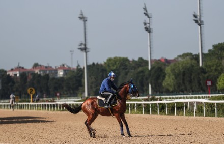 Horse racing to resume in Turkey, Istanbul - 09 Jun 2020 Stock Pictures ...