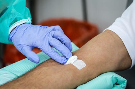 Blood Donors Arm After Blood Donation Editorial Stock Photo - Stock ...