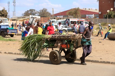 30 Cane cart Stock Pictures, Editorial Images and Stock Photos ...