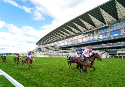 horse racing royal ascot Stock Photos (Exclusive) | Shutterstock