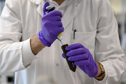 Laboratory Analyst Pictured Action Headquarters Janssen Editorial Stock ...