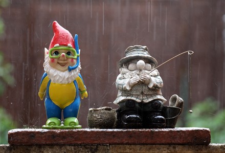5 Garden gnomes in rain Stock Pictures, Editorial Images and Stock ...