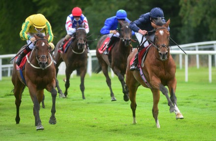 Gowran Park Keats Seamus Heffernan Right Editorial Stock Photo - Stock ...