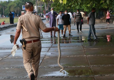 Assistant Sub Inspector Asi Silak Ram Editorial Stock Photo - Stock ...