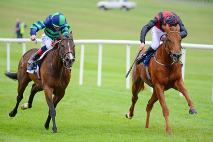 Naas Jockey Gearoid Brouder Standing Social Editorial Stock Photo ...