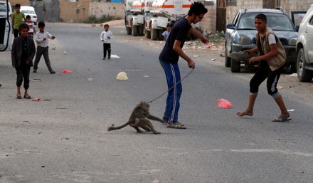 Yemeni Children Gather Around Chained Male Editorial Stock Photo ...