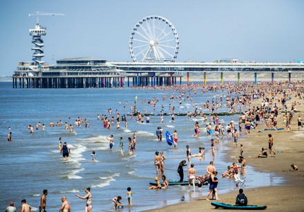 Bathers On Beach Scheveningen During Beautiful Editorial Stock Photo ...