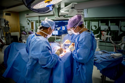 Albert Schweitzer Hospital Normal Care Fully Editorial Stock Photo ...