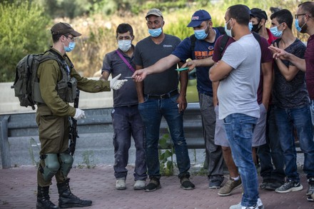 Israeli Soldier Checks Ids Palestinian Laborers Editorial Stock Photo ...