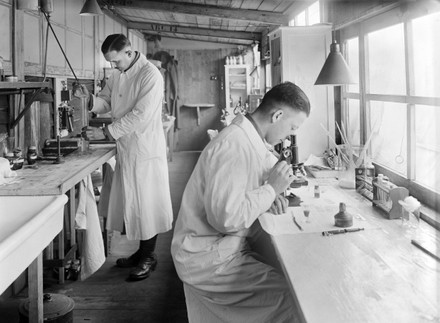 19 World war i. doctors Stock Pictures, Editorial Images and Stock ...