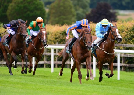 Navan Jockey Siobhan Rutledge Eventually Loses Editorial Stock Photo ...