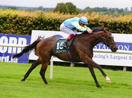 Navan Jockey Siobhan Rutledge Eventually Loses Editorial Stock Photo ...