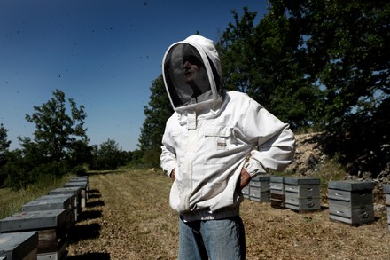 2426 French Beekeeper Jerome Payen Wearing Editorial Stock Photo ...
