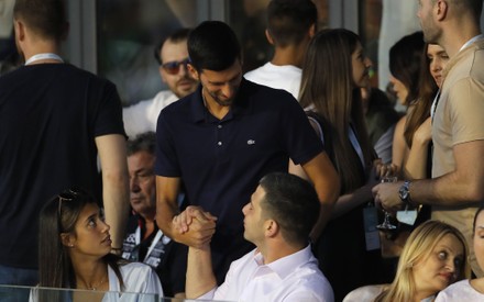 Vanja Udovicic Novak Djokovic Editorial Stock Photo - Stock Image ...