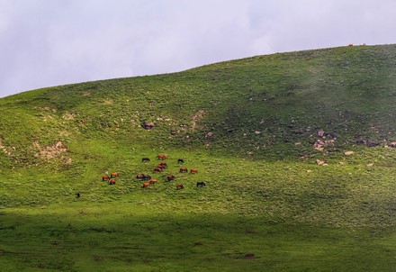 __COUNT__ imágenes de Mountain Xining Wuzhai County Heyeping natural ...