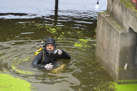 250 Frogman Stock Pictures, Editorial Images and Stock Photos ...