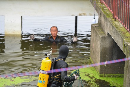 250 Frogman Stock Pictures, Editorial Images and Stock Photos ...