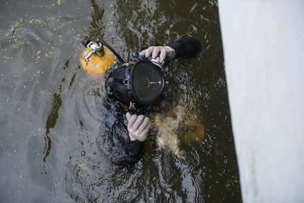 250 Frogman Stock Pictures, Editorial Images and Stock Photos ...