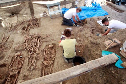 Archaeologists Working On Identifying Remains Found Editorial Stock ...