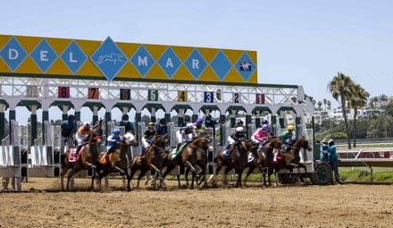 2020 Del Mar Ca Usa Field Editorial Stock Photo - Stock Image ...