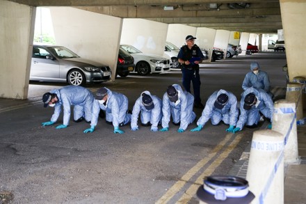 Police Search Officers Carrying Out Search Editorial Stock Photo ...