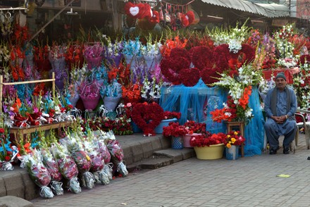 Pakistani Flower Vendor Displays Fresh Roses Editorial Stock Photo ...