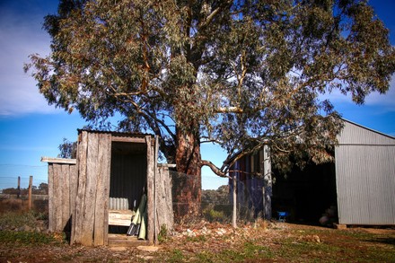 Old Toilet Called Dunny Australian Slang Editorial Stock Photo - Stock ...