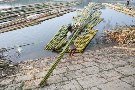 Indian Labourers Manouver Pontoon Bamboo Poles Editorial Stock Photo ...