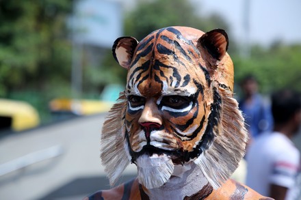 Volunteers Painted Body Tiger Zebra Giraffe Editorial Stock Photo ...