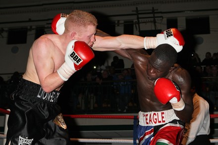 Adil Anwar Redblack Shorts Defeats Nathan Editorial Stock Photo - Stock ...