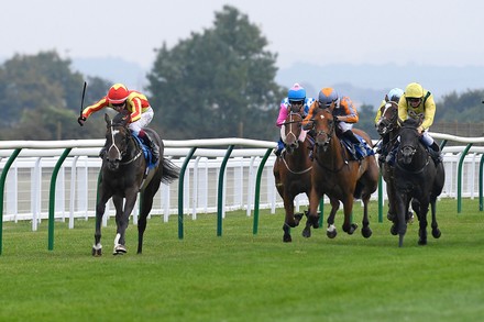 Behind Closed Doors Race Meeting, Horse Racing, Salisbury Racecourse ...