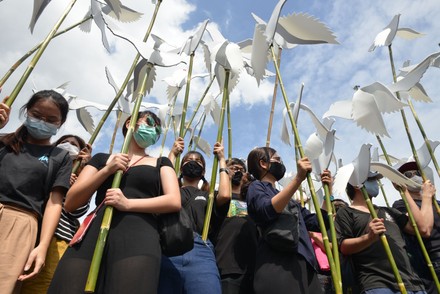 Student Protesters Inventing Dove Remembering Convey Editorial Stock ...