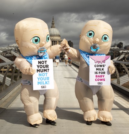 Giant Babies Cry Not Your Not Editorial Stock Photo - Stock Image ...