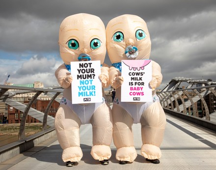 peta protest world plant milk day millennium Fotos stock de (exclusiva ...