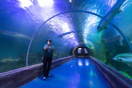 Tourist Visits Fish Culture Museum Fuyuan Editorial Stock Photo - Stock ...