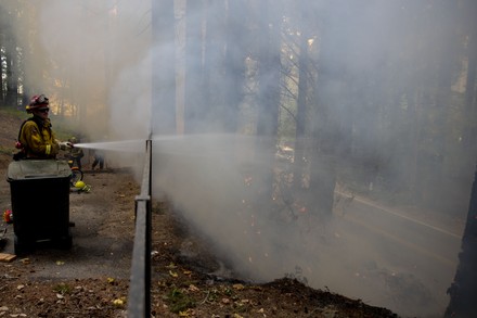 Fire Fighter Helps Back Burn Fuel Editorial Stock Photo - Stock Image ...