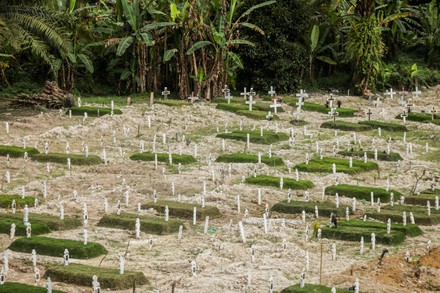 General View Cemetary Where Victims Covid19 Editorial Stock Photo ...