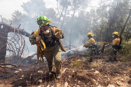 Firefighters Combat Forest Fire Murcia Spain Editorial Stock Photo ...