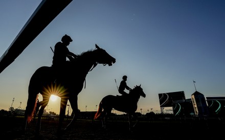 Horse Racing Kentucky Derby Preparations, Louisville, USA - 30 Aug 2020 ...