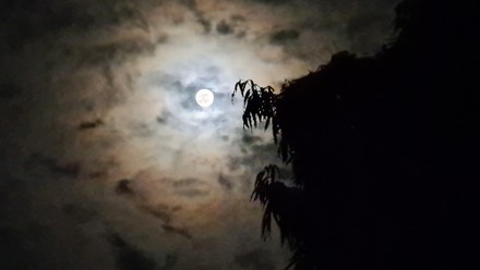 Full Corn Moon Other Cultures They Editorial Stock Photo - Stock Image ...